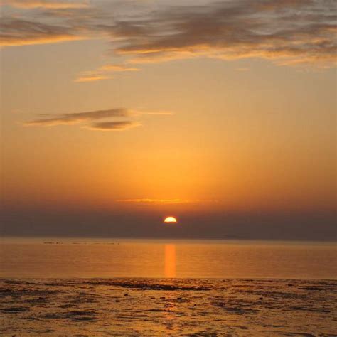 血管钙化，比血栓、动脉粥样硬化还可怕，连支架都放不了，养护血管要趁早！病变骨骼风险