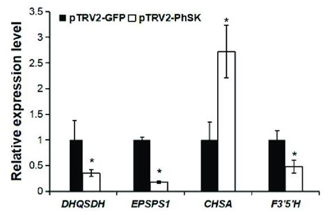 Effects Of Ptrv2 Phsk Treatment On The Expression Of Phdhqsdh Download Scientific Diagram