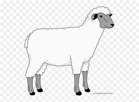 Sheep Clip Art Clipart Goat Merino Clip Art Sheep Clipart Hd Png