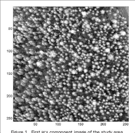 Blob Detection Semantic Scholar
