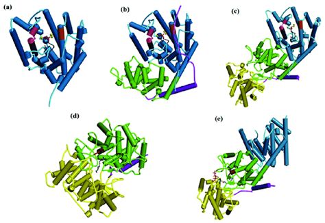 Schematic Representation Of The General Structure Of Different Terpene