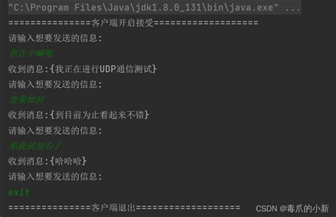 Socket通信讲解及c S结构实现udp协议通信 C Socket Udp Csdn博客