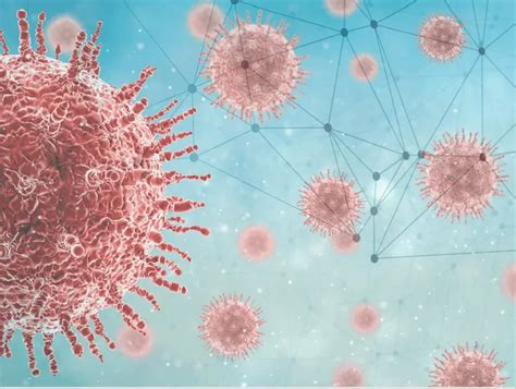 Predicting Immunotherapy Response Construction And Validation Of A