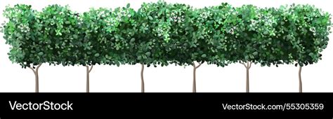 Pruning Vector Images Over