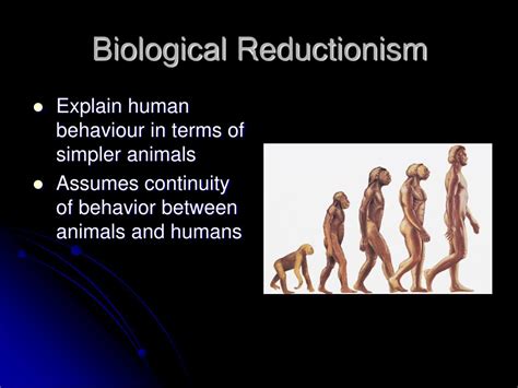 Reductionism Psychology