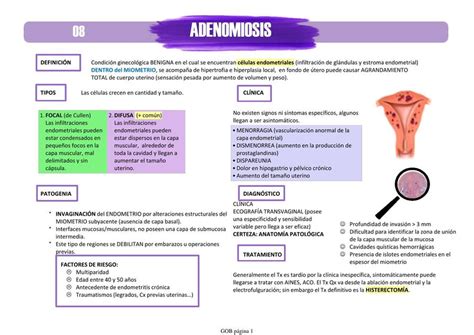 Resúmenes De Adenomiosis Descarga Apuntes De Adenomiosis