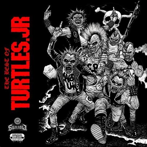 The Best Of Turtles Jr Turtles Jr Turtles Jr