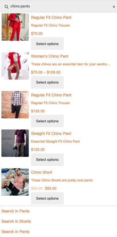 woocommerce product search documentation woocommerce