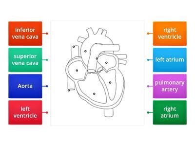 Label The Eye Diagram موارد تعليمية