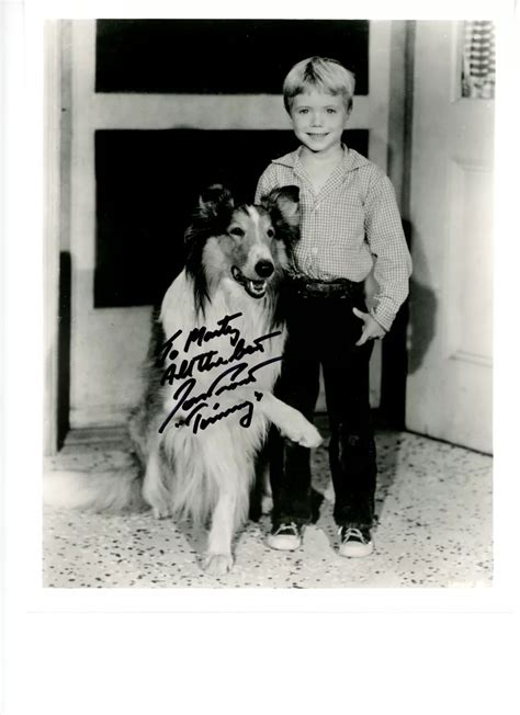 Lassie Timmy Martin