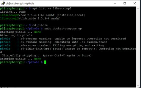 pihole docker error 111 r pihole