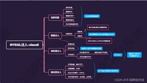 网络安全 Web 漏洞 Mysql 注入mysql网页注入 Csdn博客
