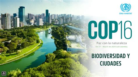 Onu Habitat Biodiversidad Y Ciudades En La Cop16 Cali Colombia