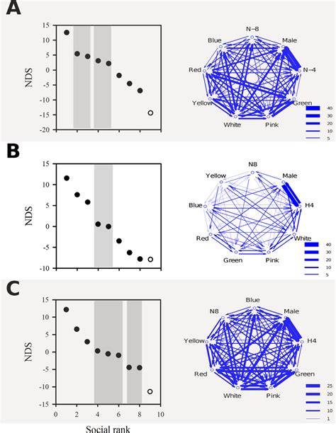Graphical Representation Of Hierarchy Estimated As Relationship Between Download Scientific