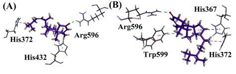 A Interactions Of Compound 1 And B Interactions Of Compound 2 In