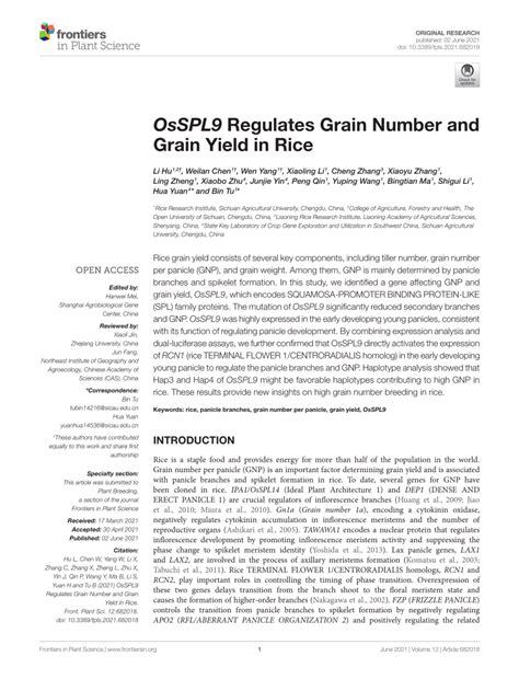 PDF OsSPL9 Regulates Grain Number And Grain Yield In Rice