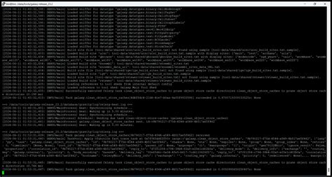 Can`t Start A Local Galaxy Galaxy Local Galaxy Community Help