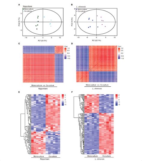 Dynamic Metabolome Of Rice And L Chinensis In The Reciprocal