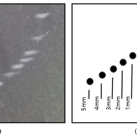 A Ultrasound Resolution B Resolution Distance Value Download A Ultrasound Resolution B Resolution Distance Value Download