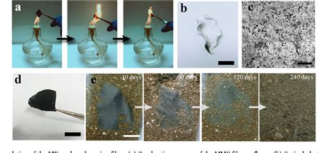 Figure 4 From A Transient Dual Type Sensor Based On Mxenecellulose