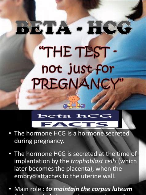 Beta Hcg Pdf Human Chorionic Gonadotropin Luteinizing Hormone
