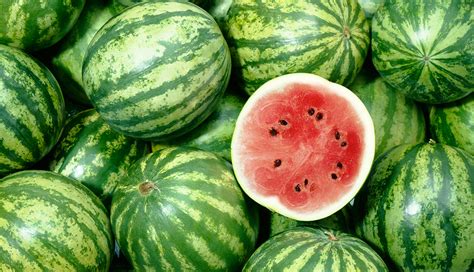 Watermelon Fruit