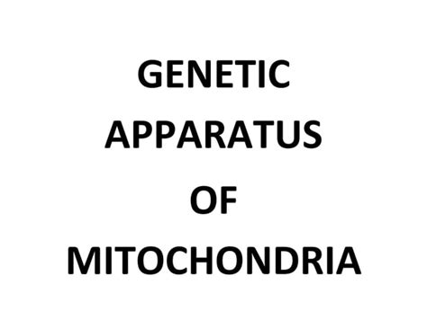 Mitochondria And The Production Of Atp The Structure Of Mitochondria Ppt
