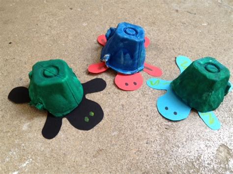 Egg Box Turtles