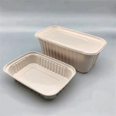 Top 10 Bagasse Packaging Manufacturers In The World