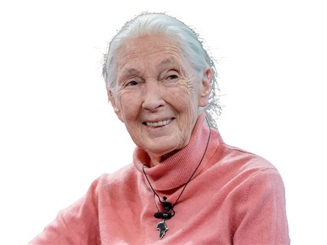 Janegoodall25274666354675 Fox21online