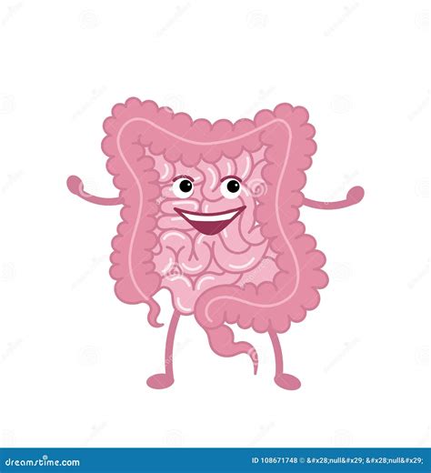 Healthy Happy Intestine Characterdigestive Systemintestine Vector