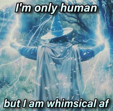 40 Wizard Memes The Internets Newest Magical Obsession