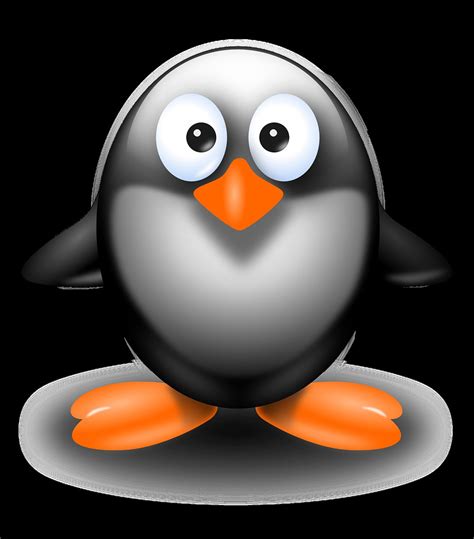 Unlock The Power Of Linux Master Ubuntu Essentials No Prior