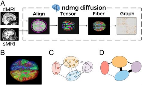 on a two truths phenomenon in spectral graph clustering pnas