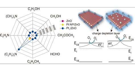 Zno Nanorod Immobilized Pt Single Atoms As An Ultrasensitive Sensor For Triethylamine Detection