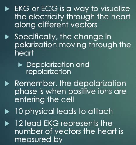Lecture 2 Ekg Basics Flashcards Quizlet