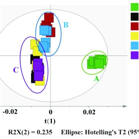 Pca Scores Plot Derived From The 1 H Nmr Data For Hepg2 Cell Extracts