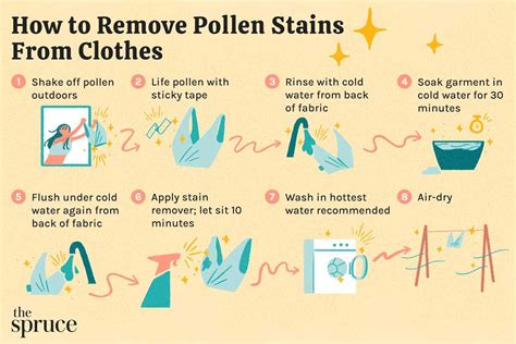 How To Remove Lily Pollen Stains From Clothes Tips And Tricks Clean Home Expert