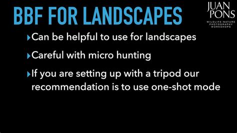 Back Button Focus Action Photo Tours