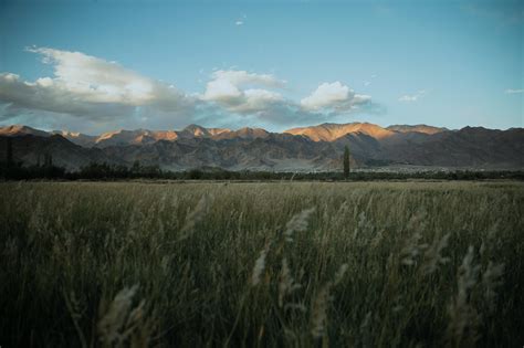 4kcutecorewallpapers Photos Download The Best Free 4kcutecore