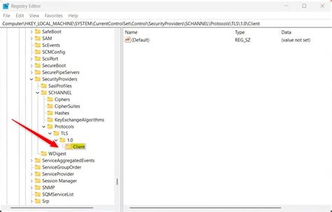 如何在 Windows 11 上重新啟用 Tls 10 和 11 All Things Windows