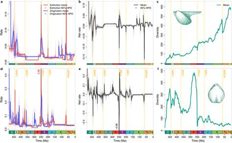 Estimated Diversification Dynamics And Diversities Of Post Cambrian