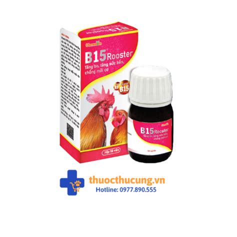 B15 Rooster Hộp 50 Viên