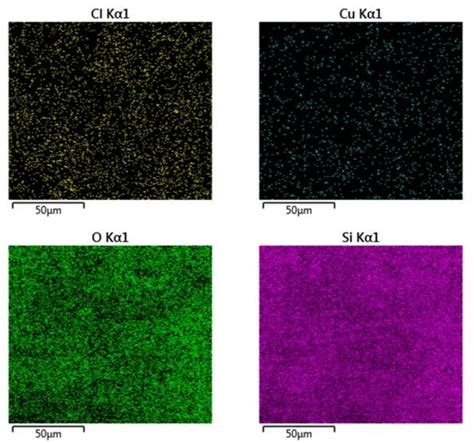 Scanning Electron Microscopy Sem Micrograph And The Corresponding Download Scientific Diagram