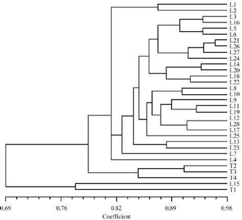 Dendrograms Derived From An Unweighted Pair Group Method Analysis Download Scientific Diagram