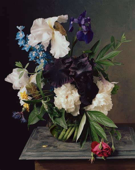 Floral Still Lifes That Recall Old Masters Paintings The New York Times
