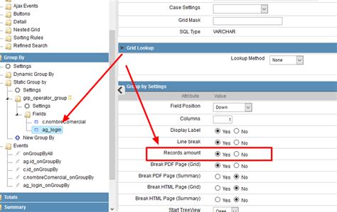 Counting Totals In Static Group By Discussion Scriptcase Low Code