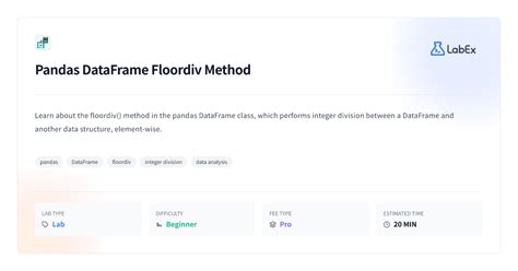 Pandas Dataframe Integer Division Floordiv Method Labex