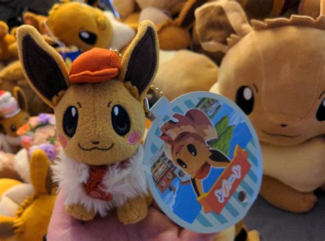Eevee Plush Collection Just Started This Year Lol Oops And Some