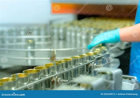 Canned Fish Factory Food Industry Food Processing Production Line